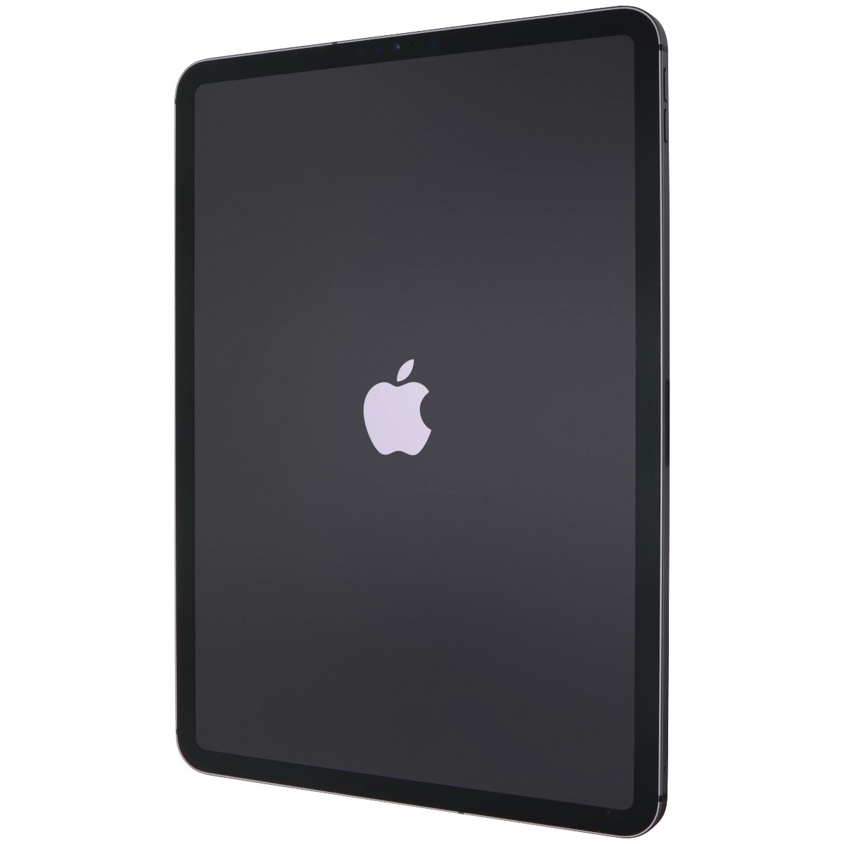 Apple iPad Pro (11-inch 2nd Gen) Tablet A2230 Unlocked 256GB / Space G ...