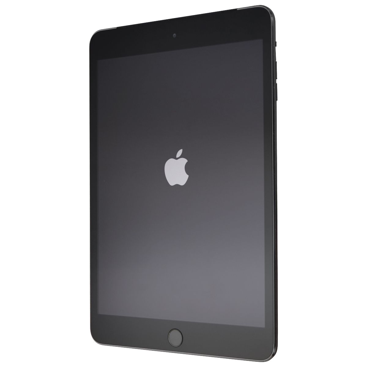 Apple iPad mini 3 (7.9-inch) Tablet (A1600) UNLOCKED - Space Gray / 12 ...